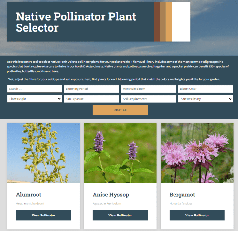 Interactive Native Plant Selection Tool | Dakota Legacy Initiative